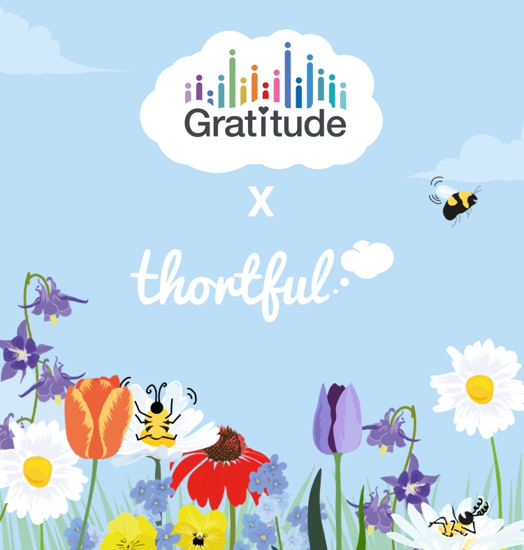 Send The Perfect Greeting Card | Order Online & It's Sent Today | thortful